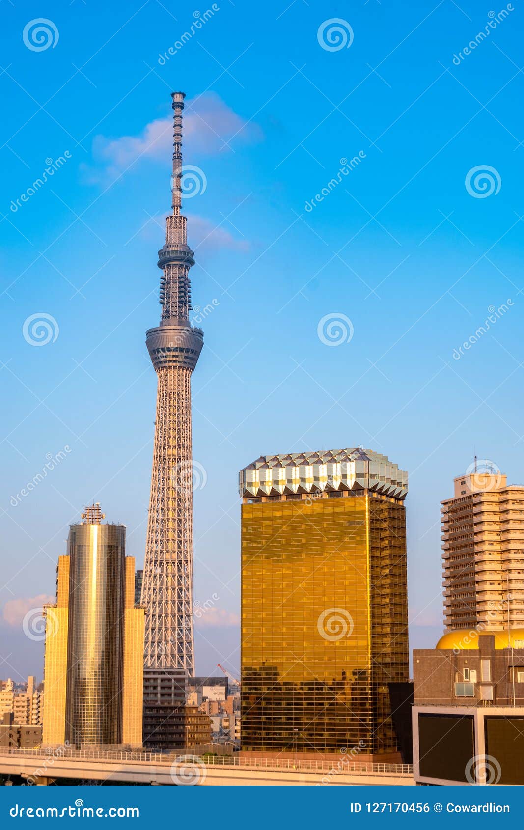 Scenic View of the City of Tokyo Editorial Photo - Image of ...