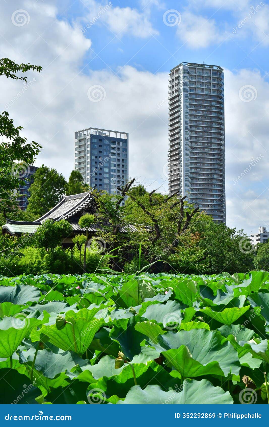 Tokyo Japan - August 10 2024 : Ueno Park Editorial Stock Image - Image ...
