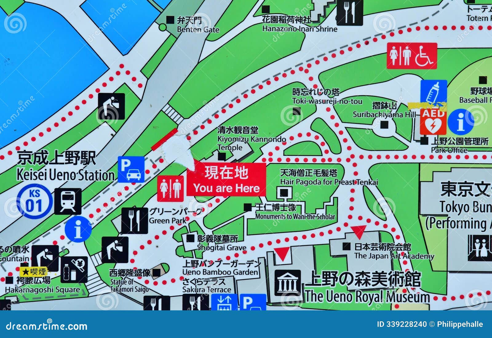 Tokyo Japan - August 10 2024 : Ueno Park Editorial Image - Image of ...