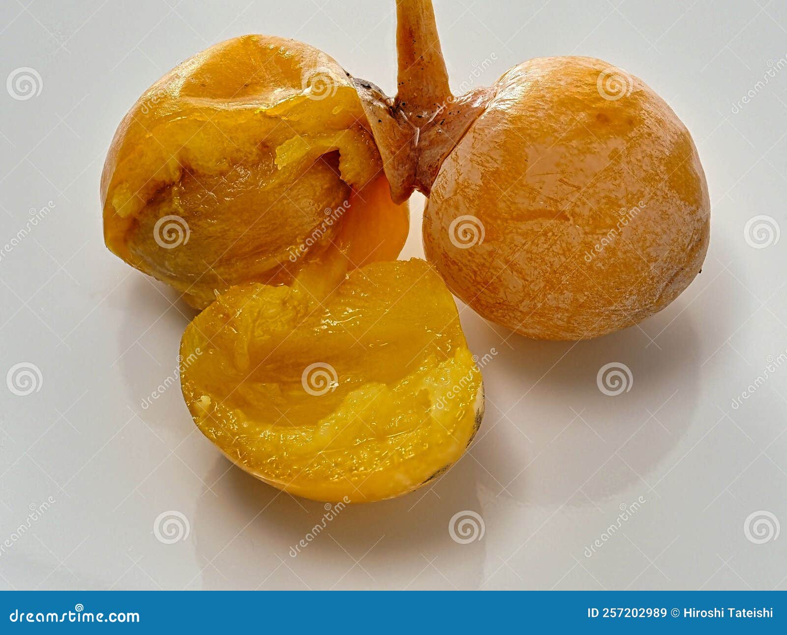 Closeup of Cross-section Surface of Gingko Nut Stock Image - Image of ...