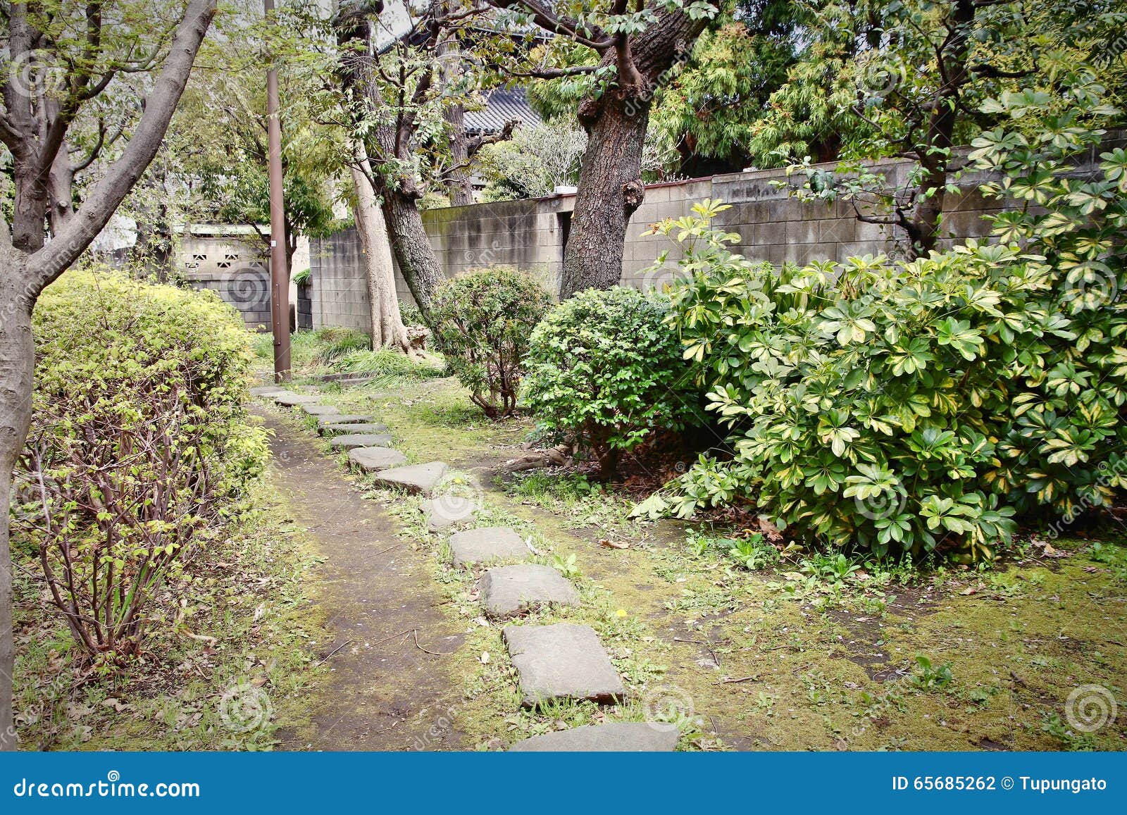Tokyo park stock photo. Image of path, travel, green - 65685262