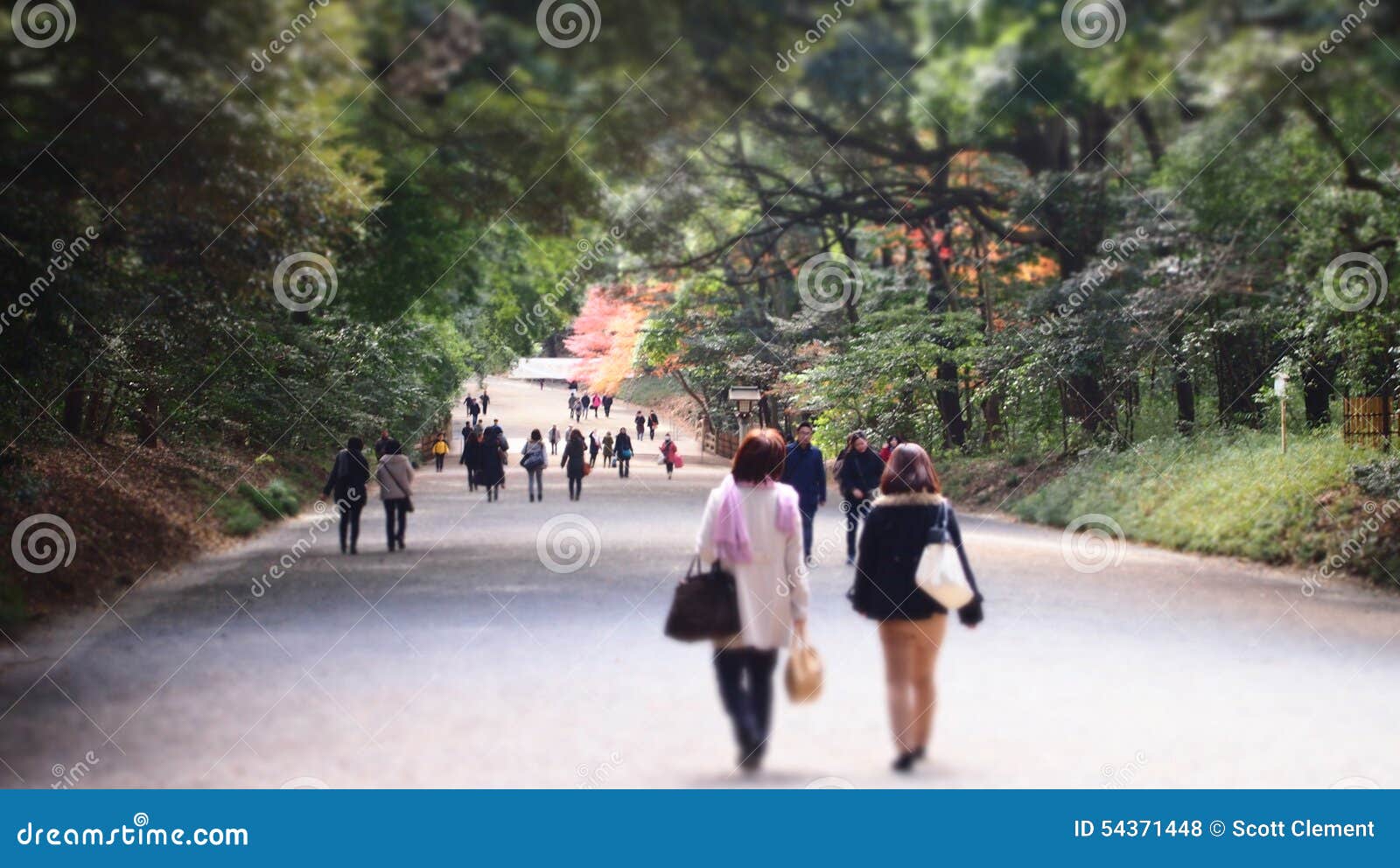 Tokyo park walk editorial stock photo. Image of night - 54371448