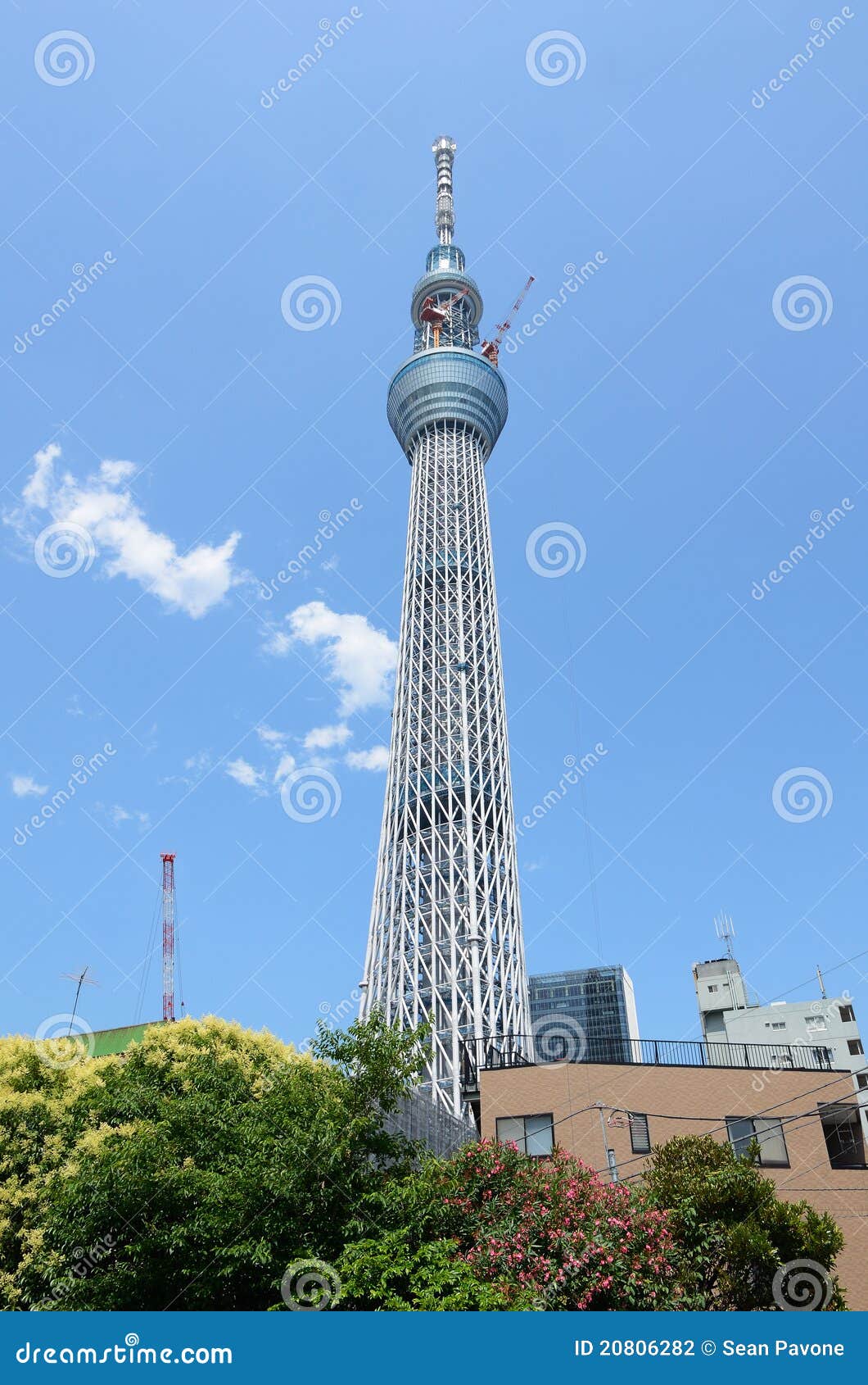 Tokyo Sky Tree editorial photography. Image of tree, communication ...