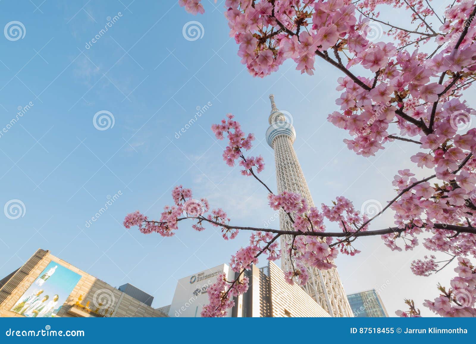 Tokyo Sky Tree editorial image. Image of branch, oriental - 87518455