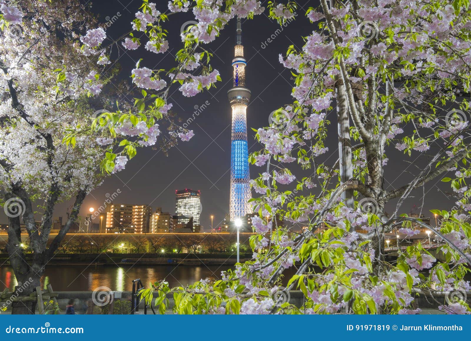 Tokyo Sky Tree editorial stock image. Image of night - 91971819