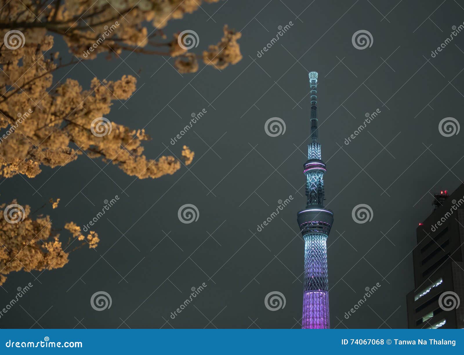 Tokyo Sky Tree at night editorial stock photo. Image of city - 74067068