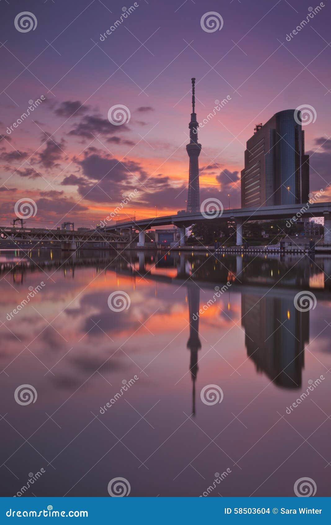 Tokyo Sky Tree in Tokyo, Japan at Sunrise Stock Photo - Image of ...