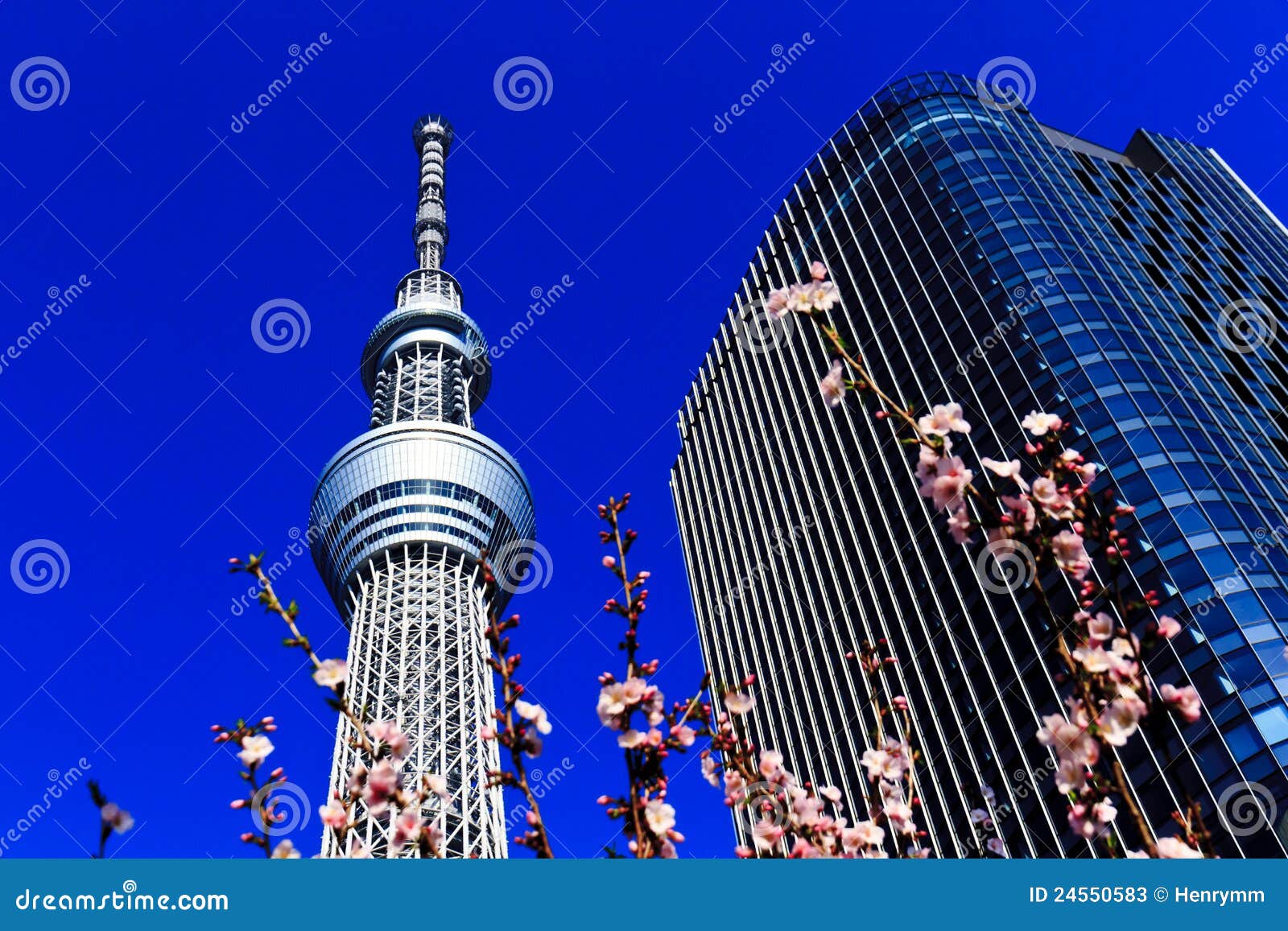 Tokyo Sky tower Japan editorial stock photo. Image of skyline - 24550583