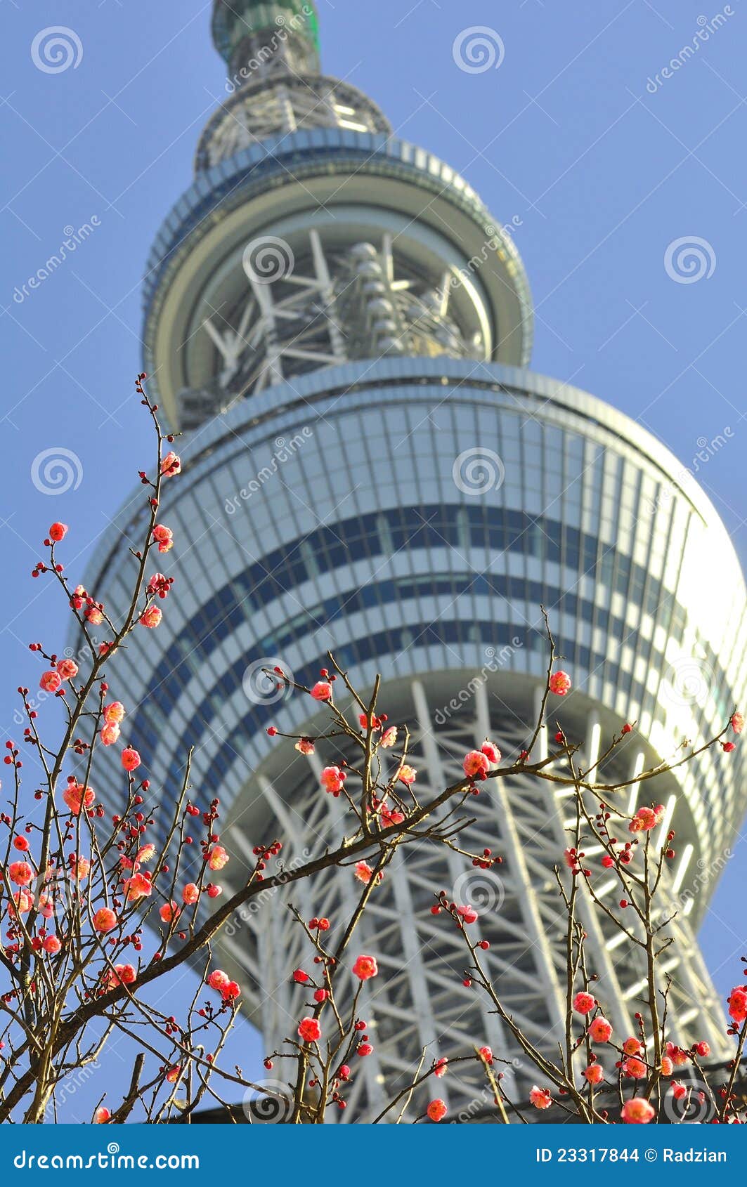 Tokyo Sky Tree Tower in Sumida Ward, Tokyo, Japan Editorial Stock Image ...