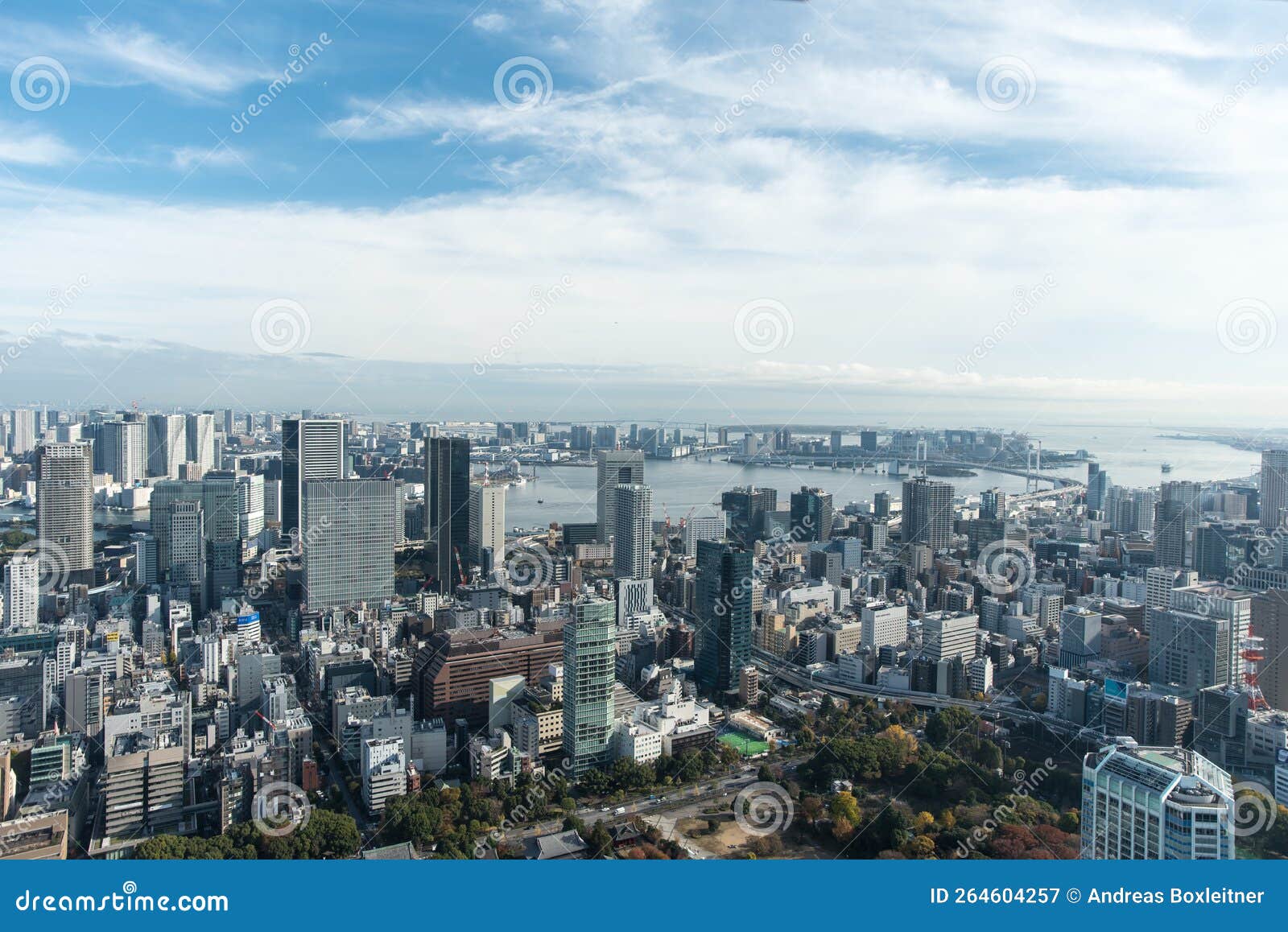 Tokyo Skyline Endless Skyscraper from Tower Stock Image - Image of ...