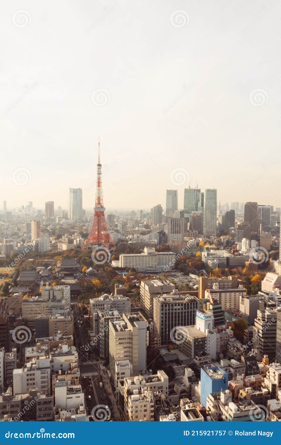 Tokyo Skyline at sunset editorial photography. Image of district ...
