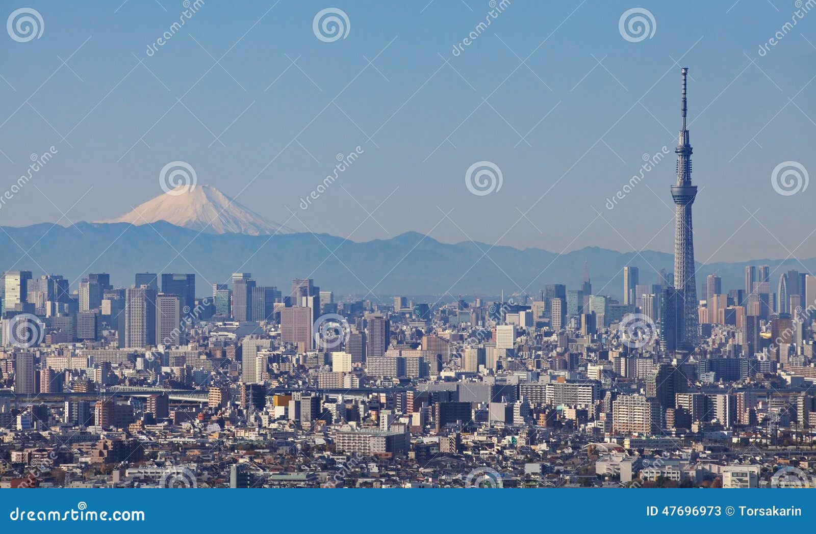 Tokyo skytree with Mt Fuji stock image. Image of asia - 47696973