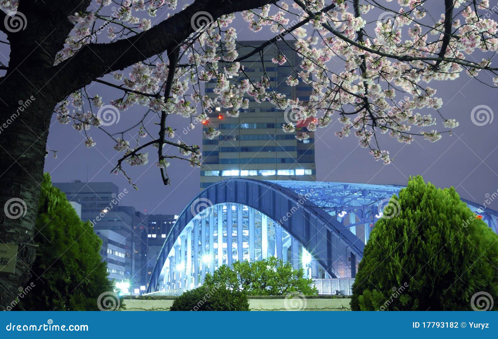 Tokyo spring stock photo. Image of scenery, cherry, bridge - 17793182