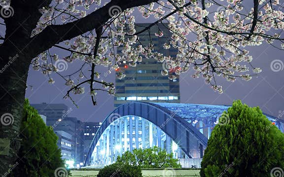Tokyo spring stock photo. Image of scenery, cherry, bridge - 17793182