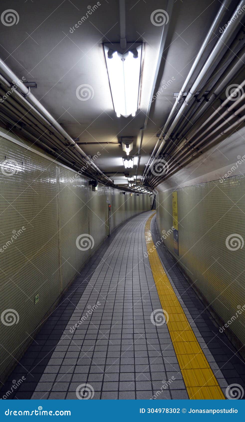 Tokyo Subway Map Stock Photo | CartoonDealer.com #5013300