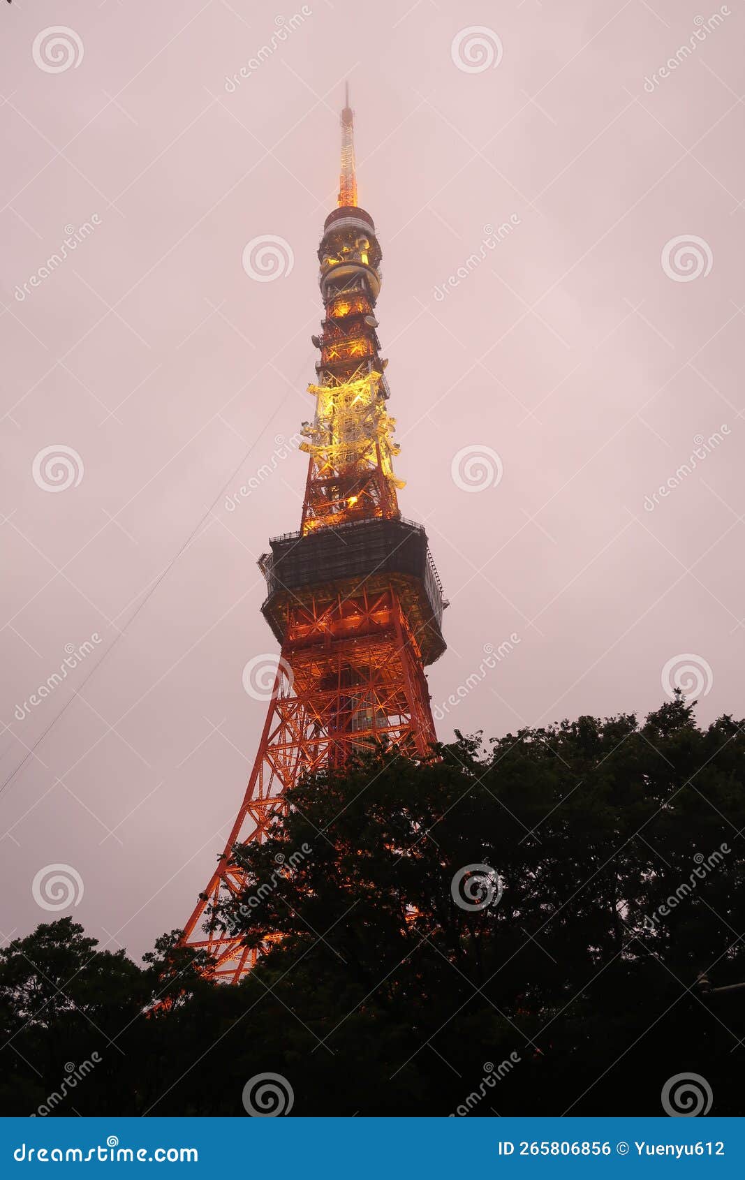 The Tokyo Tower is so Beautiful in the Evening in Tokyo in Japan ...