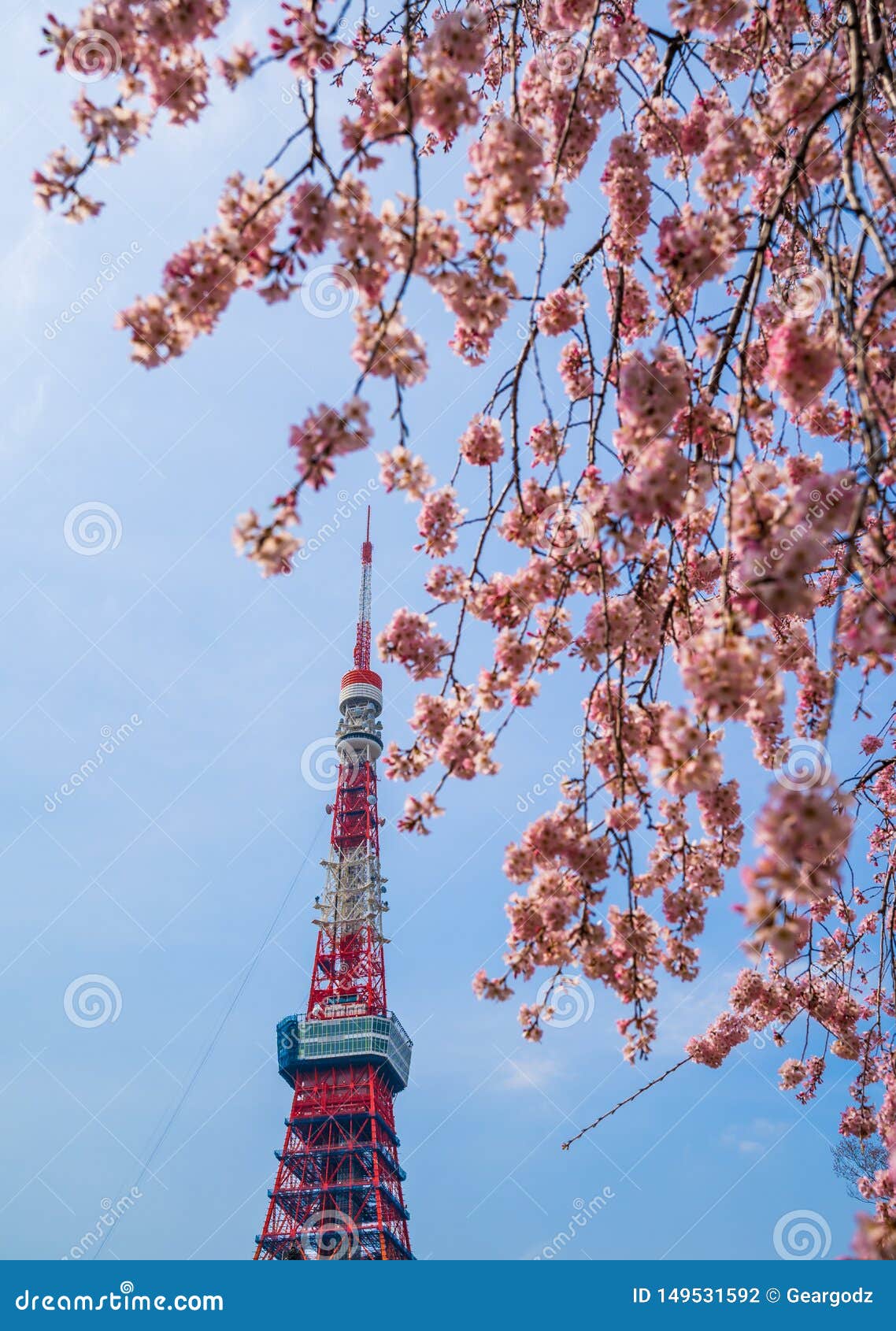 Tokyo Tower Wtih Spring Cherry Blossom Stock Photo - Image of landscape ...