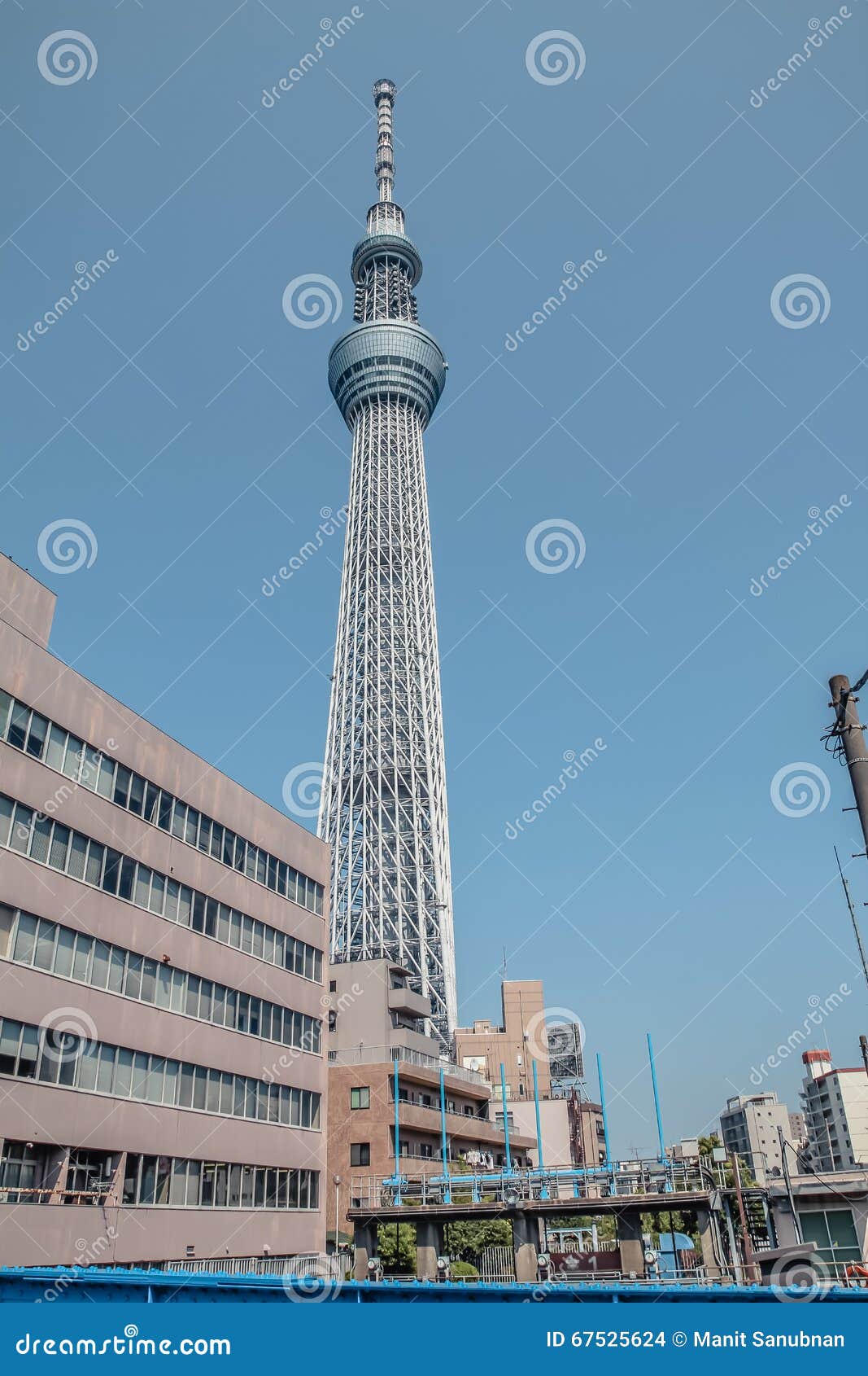 Tokyo tree sky editorial stock image. Image of asian - 67525624