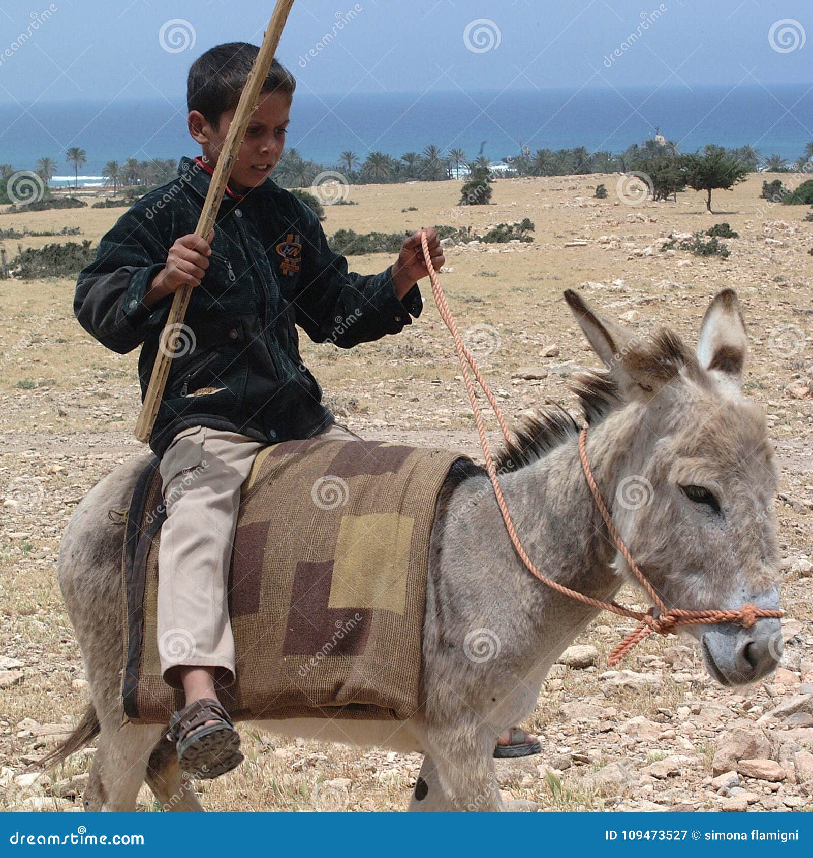 Child riding a donkey editorial photography. Image of ride - 109473527