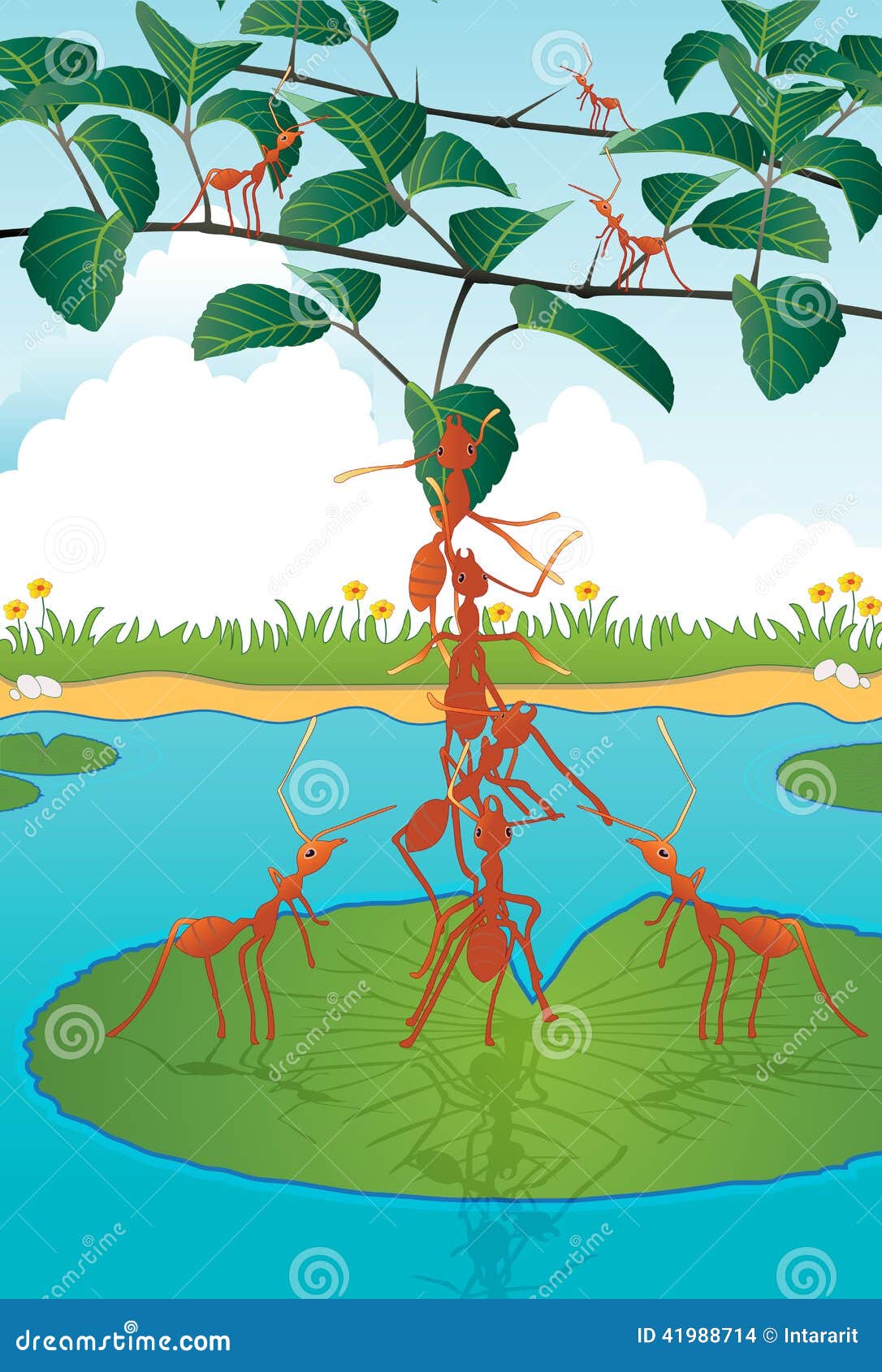 Ants Helping Each Other Make A Stair To Fetch Cherry Royalty-Free ...