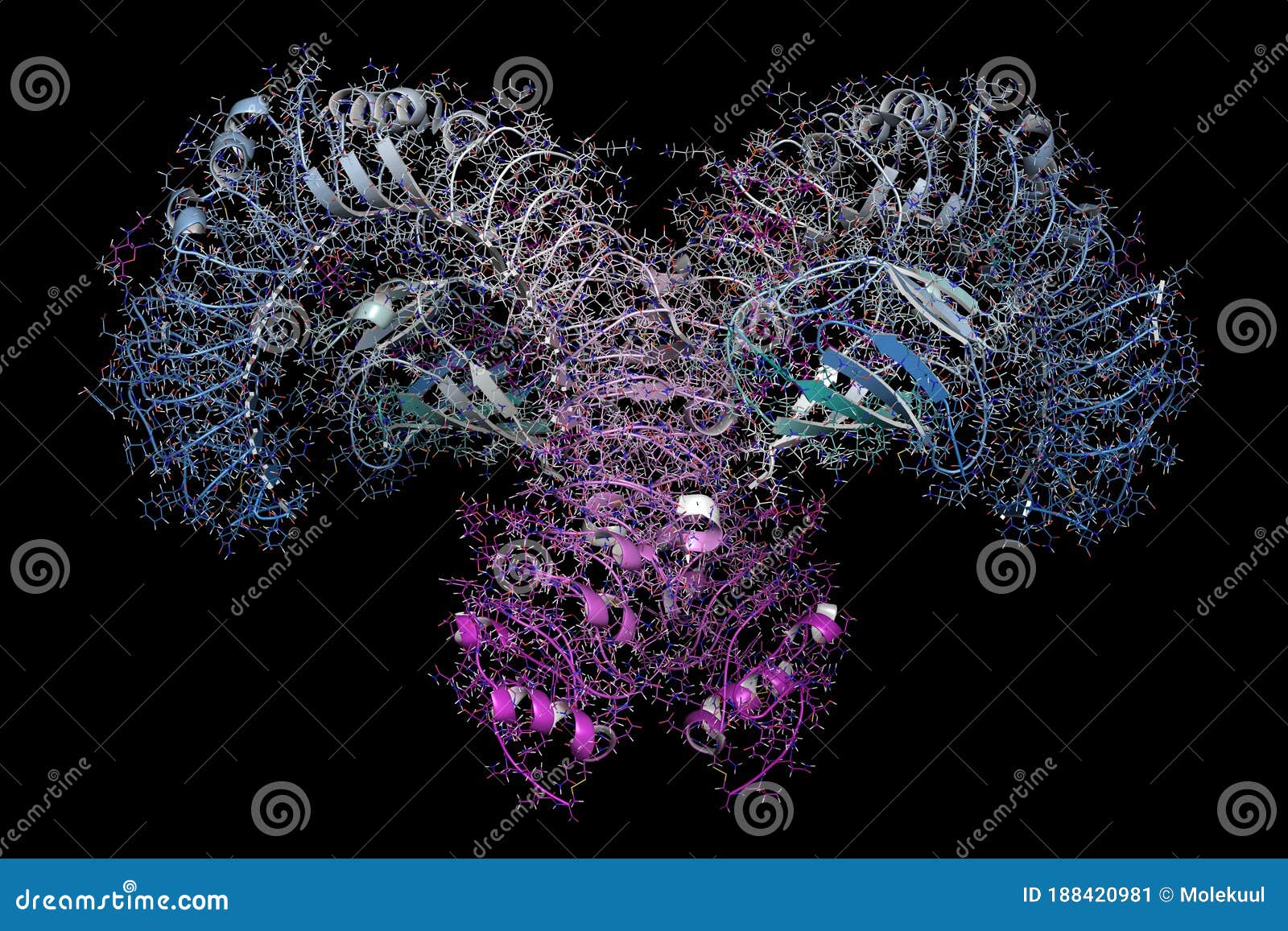 Toll-like Receptor 4 (TLR4, Extracellular Domain) Bound To ... Toll-like Receptor 4 (TLR4, Extracellular Domain) Bound To ...