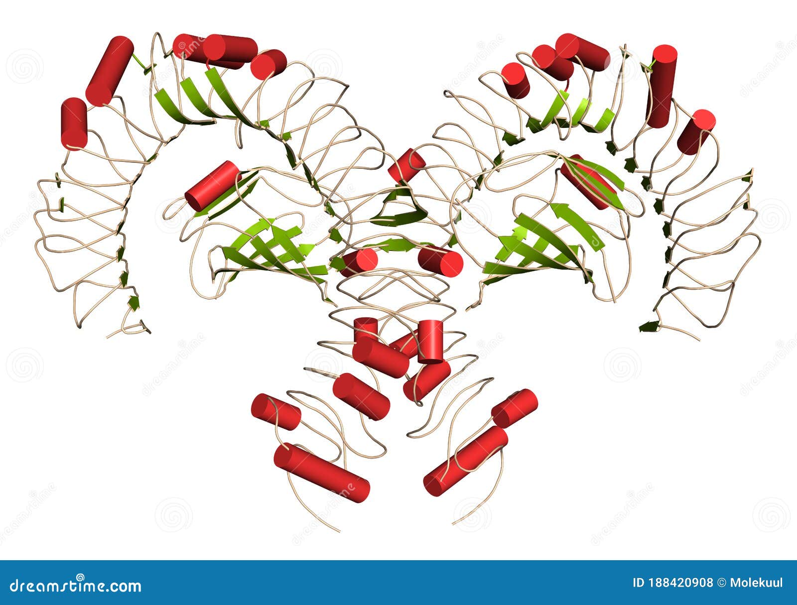 Toll-like Receptor 4 (TLR4, Extracellular Domain) Bound To ... Toll-like Receptor 4 (TLR4, Extracellular Domain) Bound To ...