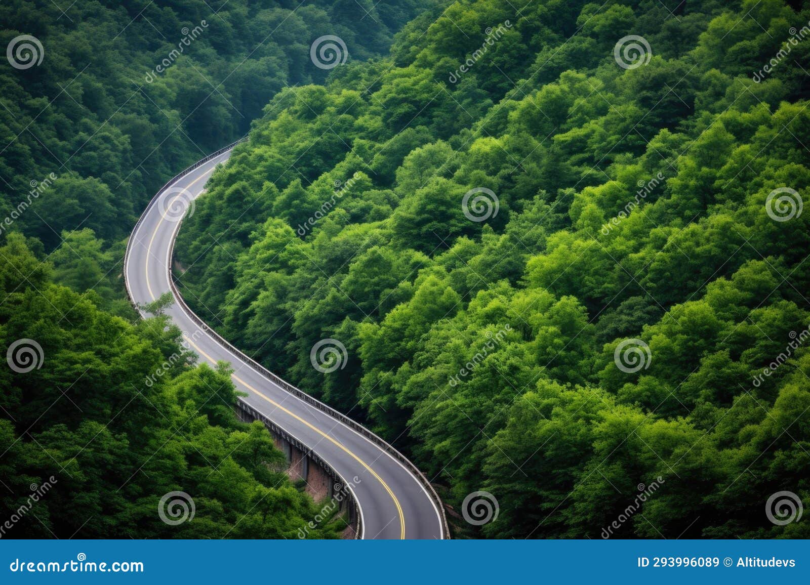 Toll Road Snaking through a Dense Forest Stock Image - Image of ...