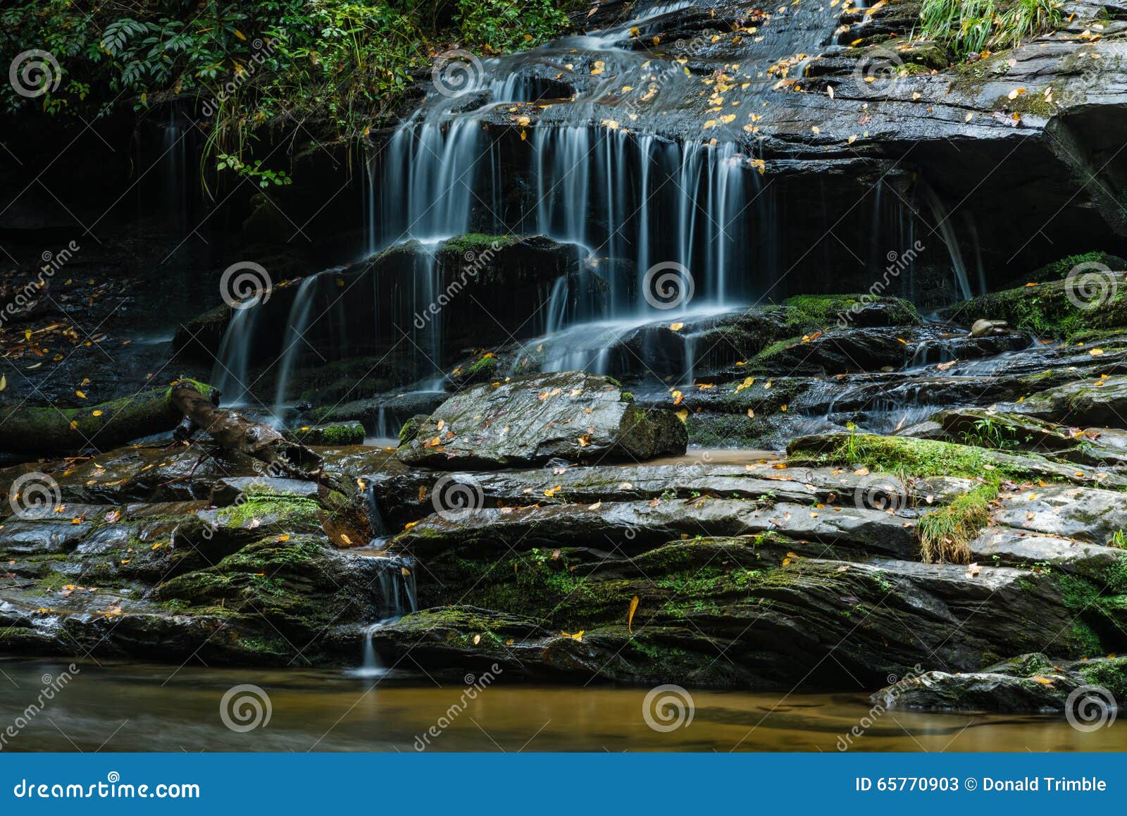 Tom Branch Fall in North Carolina Stock Image - Image of branch ...
