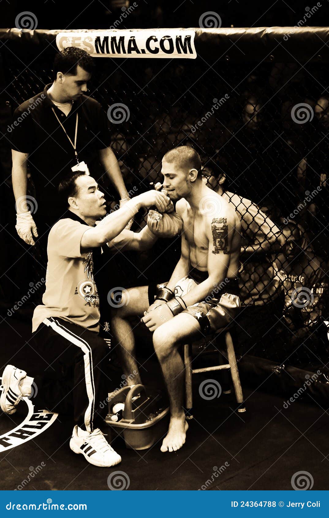 Tom Evans Mixed Martial Artist Editorial Stock Photo - Image of gloves ...