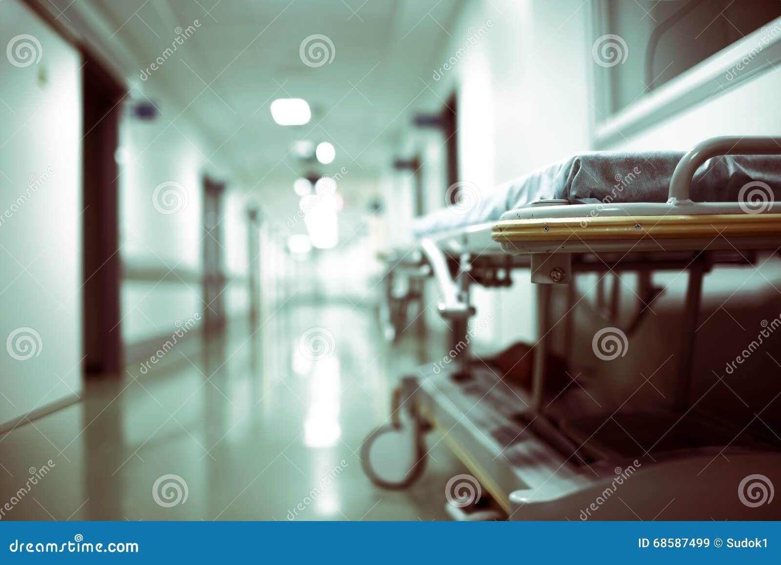 Tom Gurney I En Lång Korridor Fotografering för Bildbyråer - Bild av ...