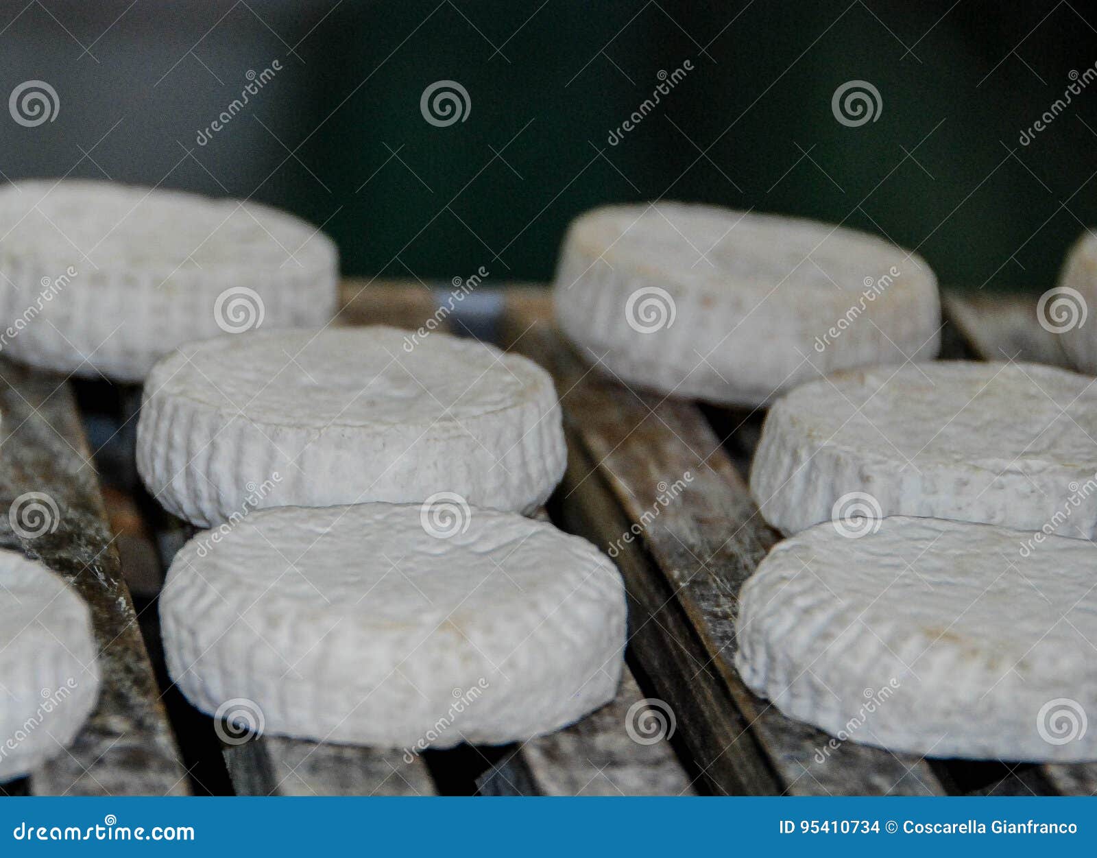Toma Langhe cheese stock photo. Image of farm, farmland - 95410734