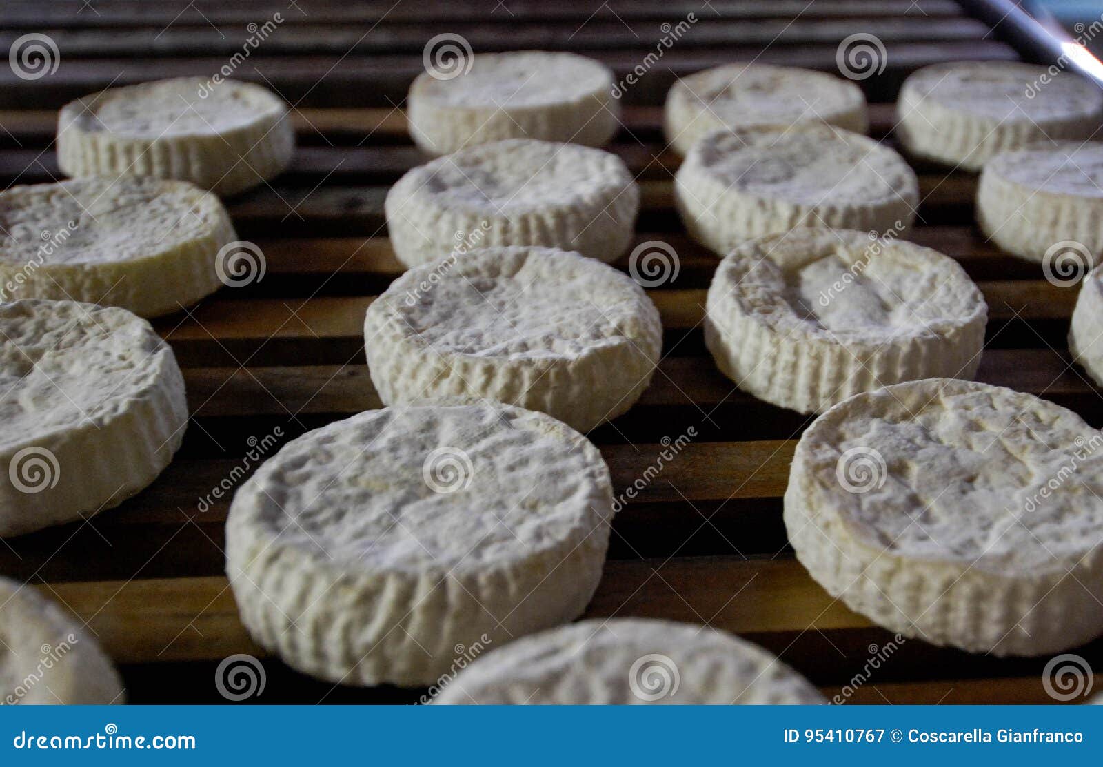 Toma Langhe cheese stock image. Image of white, langhe - 95410767