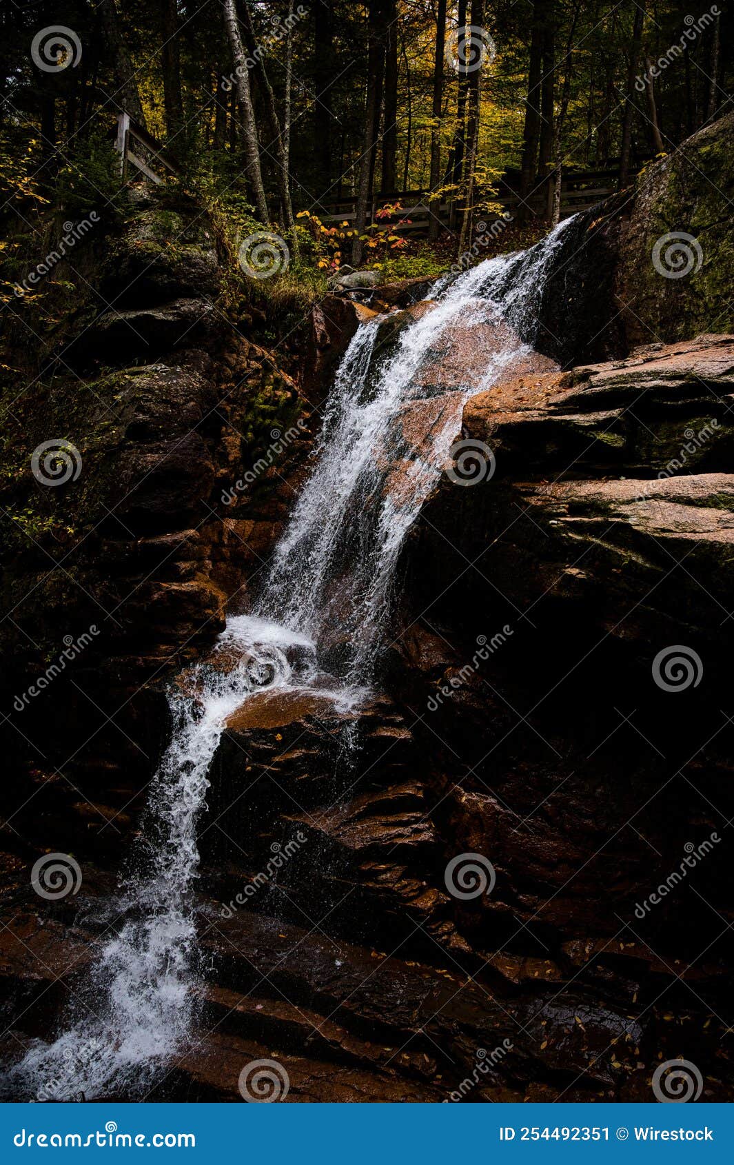 Toma Vertical De Una Cascada En Una Cueva En Un Bosque Imagen de ...