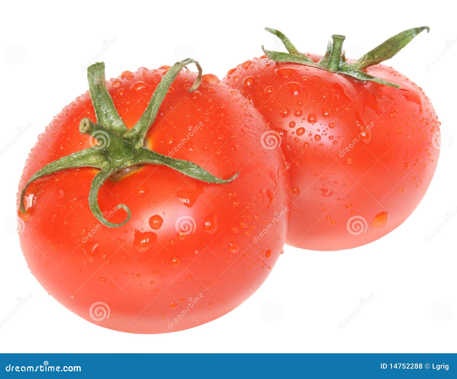 Tomaat stock foto. Image of zomer, gezond, diëet, organisch - 14752288