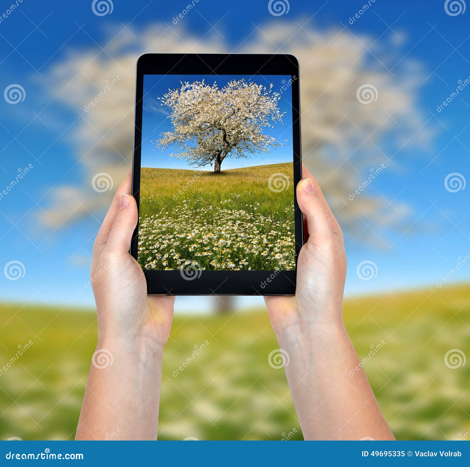 Tomar Las Fotos Con Una Tableta Imagen de archivo - Imagen de pantalla ...