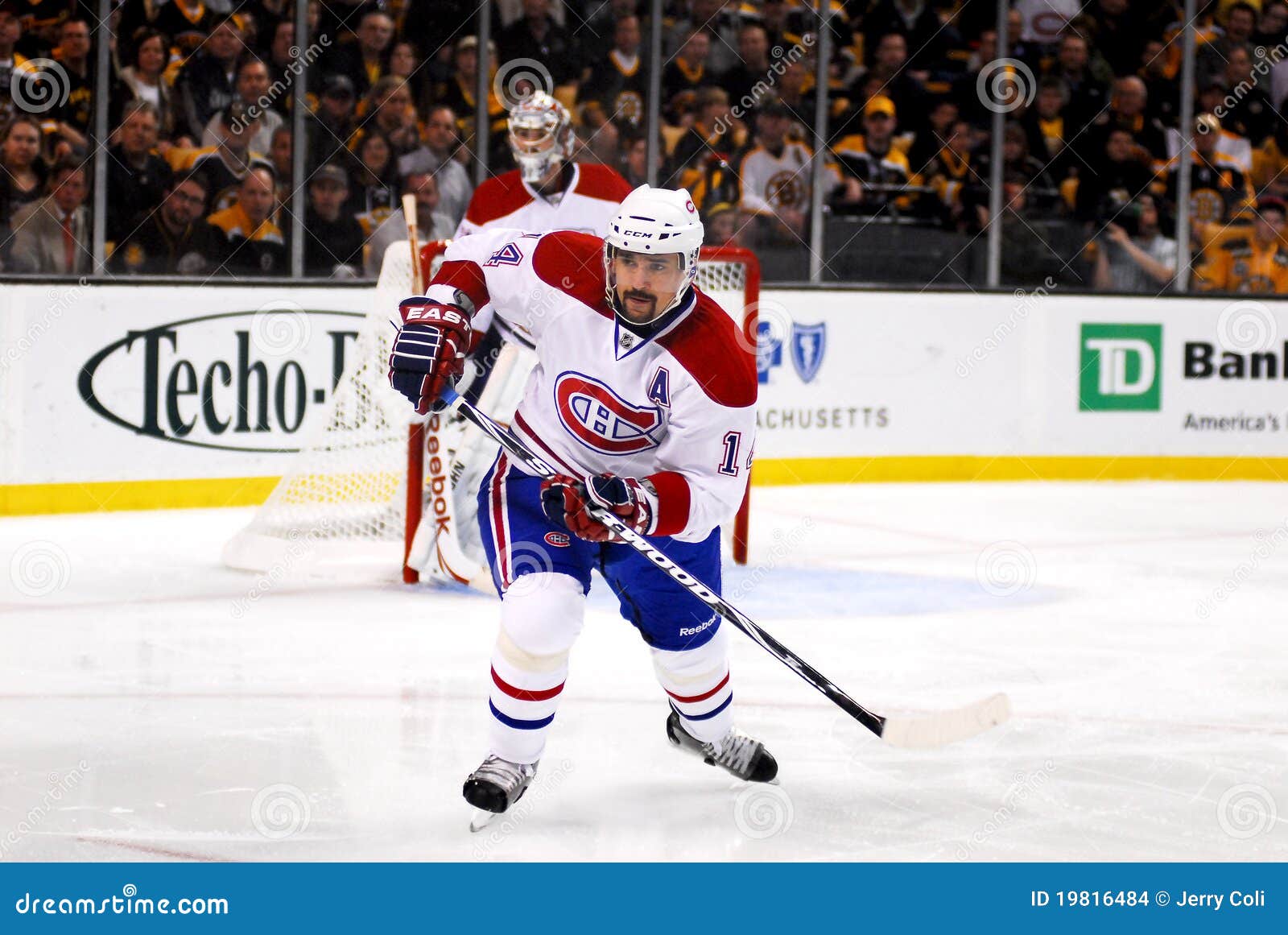 Tomas Plekanec Montreal Canadiens Editorial Stock Image - Image of ...