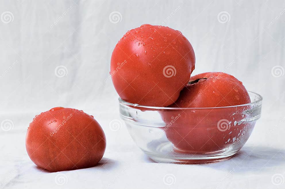 Tomate 02 imagen de archivo. Imagen de fruta, planta - 14621635