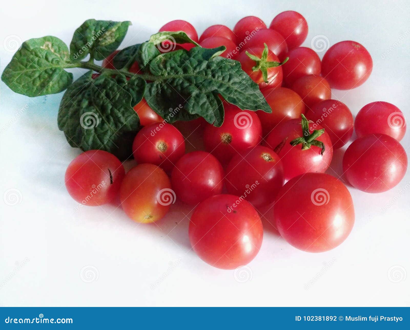Tomate stockfoto. Bild von gemüse, früchte, tomate, liebe - 102381892