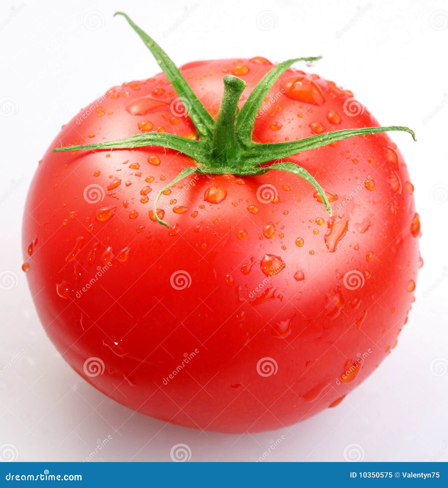 Tomate stockbild. Bild von nahrung, einzeln, bestandteil - 10350575