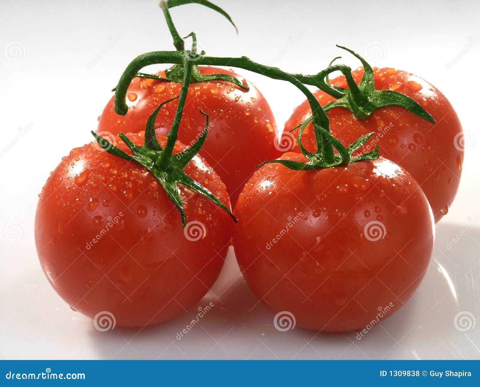 Tomate foto de archivo. Imagen de tomate, fruta, sano - 1309838