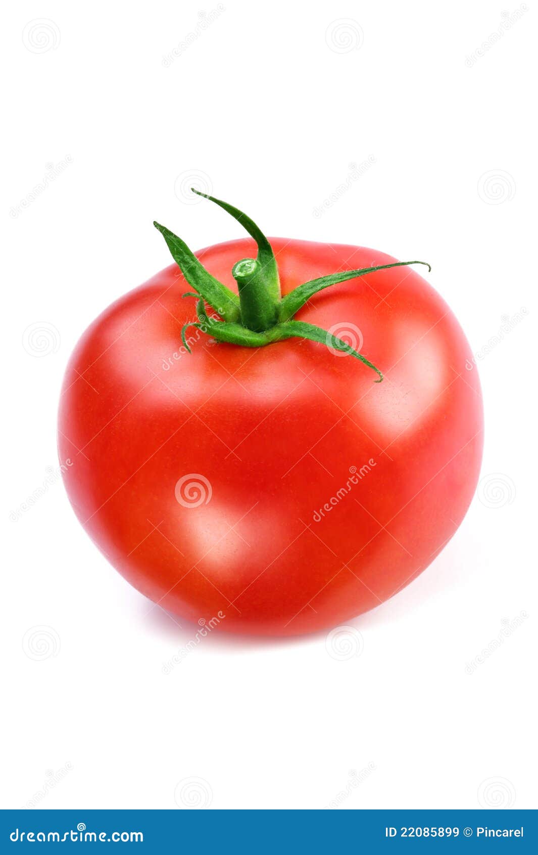 Tomate imagem de stock. Imagem de dieta, comer, cuisine - 22085899