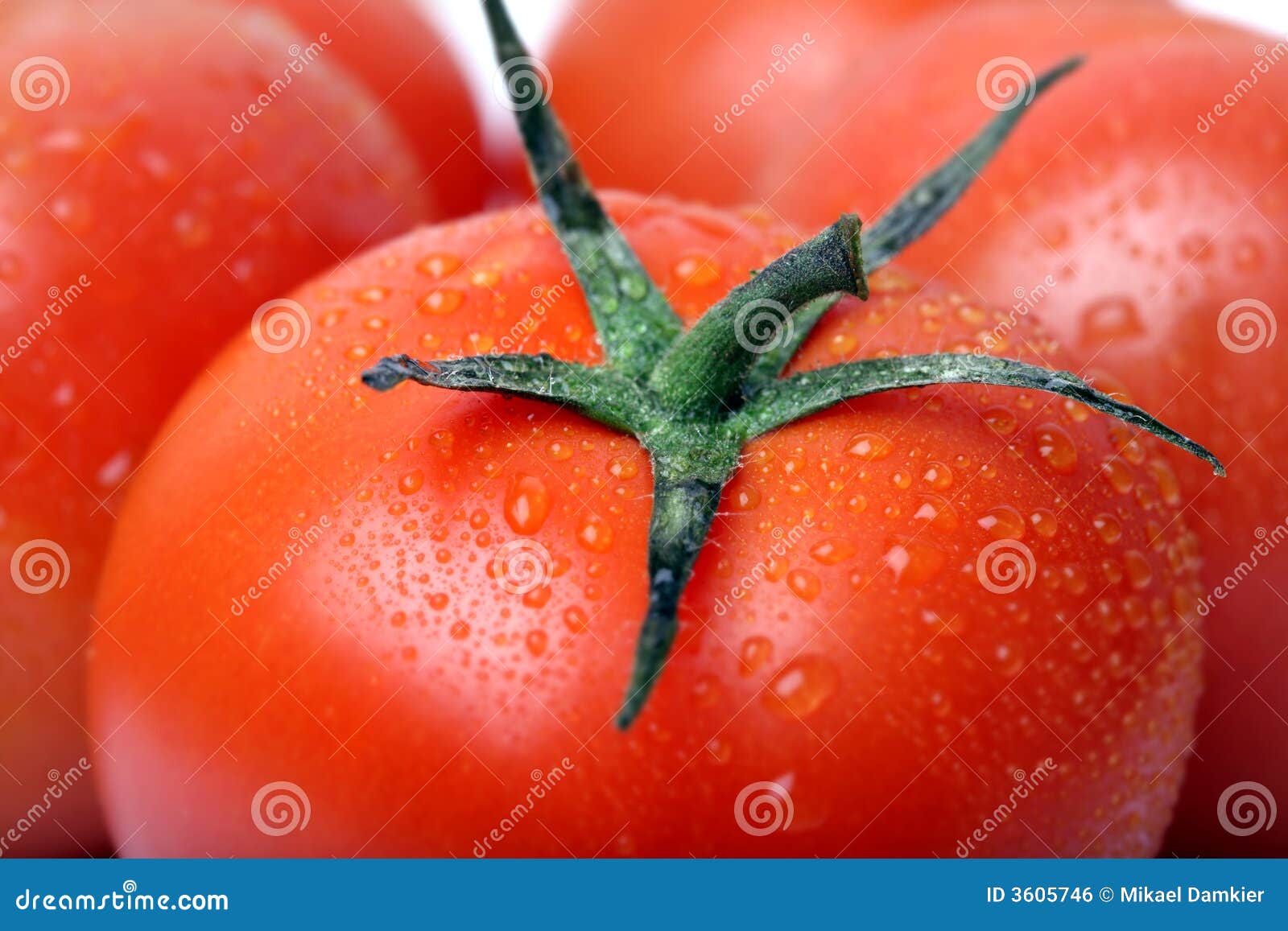 Tomate foto de archivo. Imagen de jugoso, alimento, bebida - 3605746