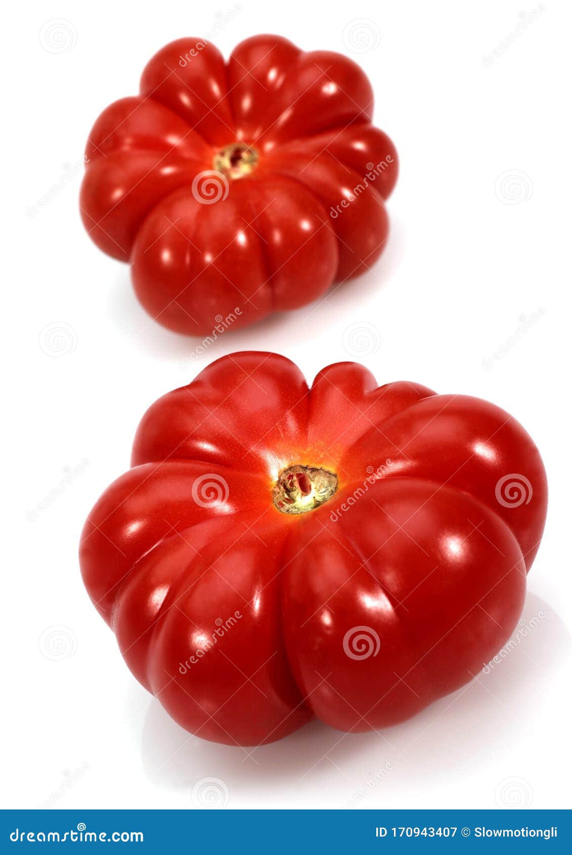 TOMATE CAMONE stock image. Image of solanum, life, camone - 170943407