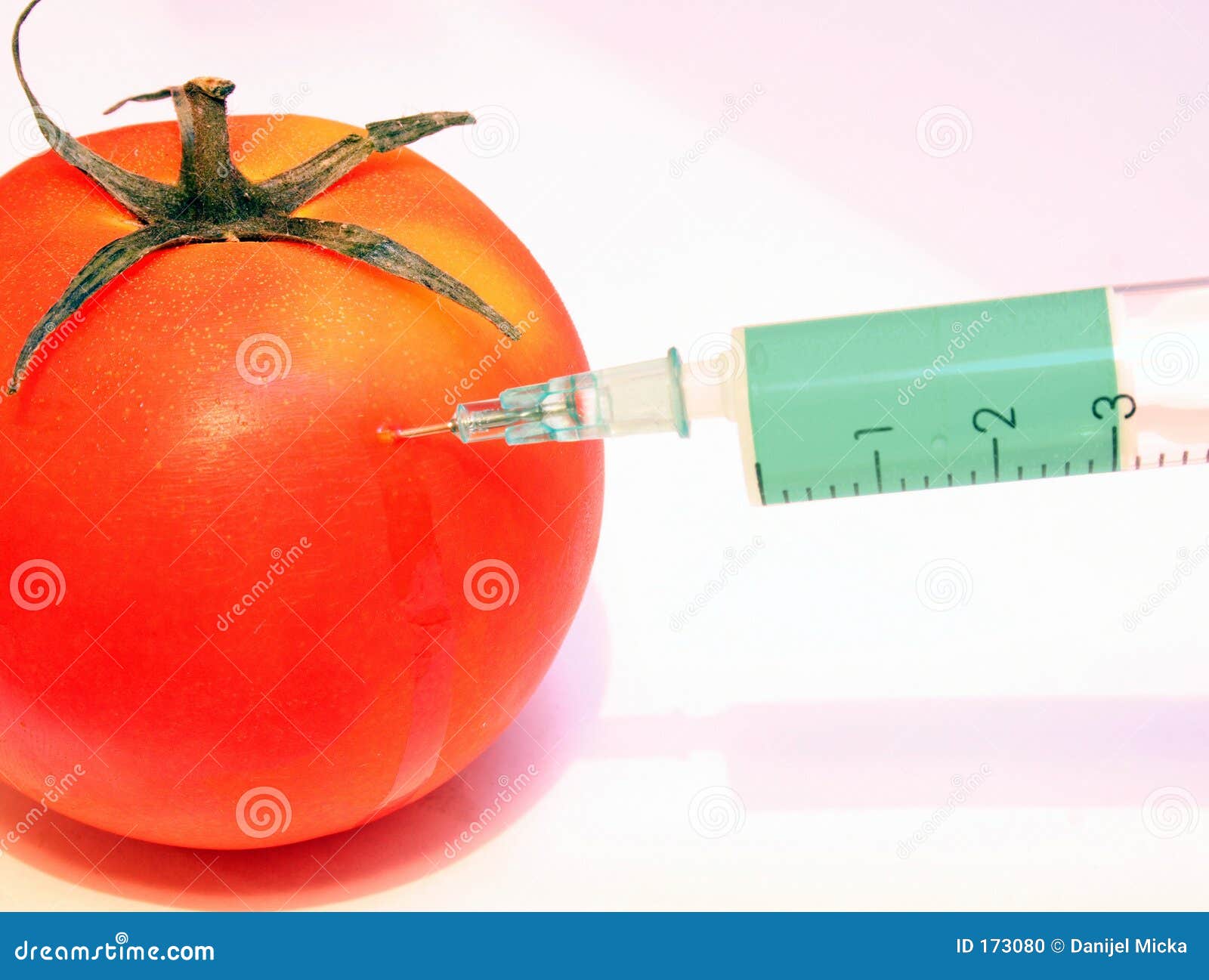 Tomate d'OGM photo stock. Image du biologie, gène, médecine - 173080