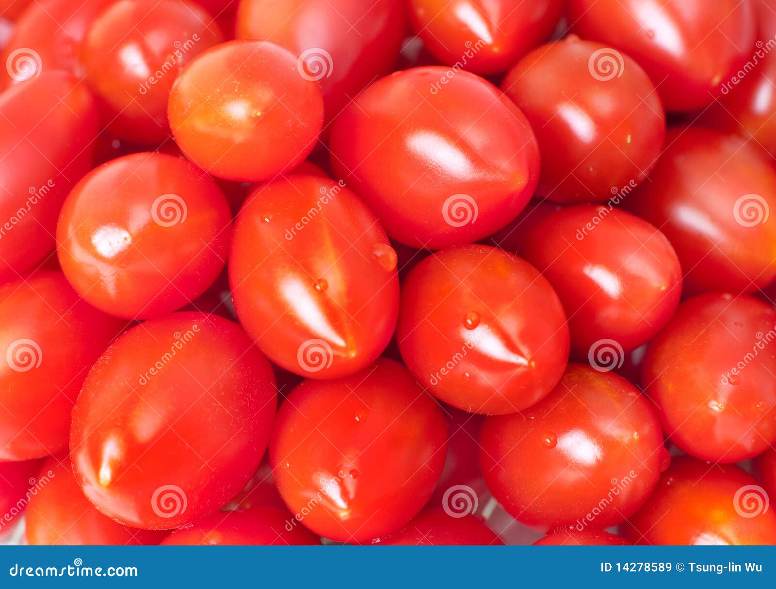 Tomate fresco rojo imagen de archivo. Imagen de rojo - 14278589