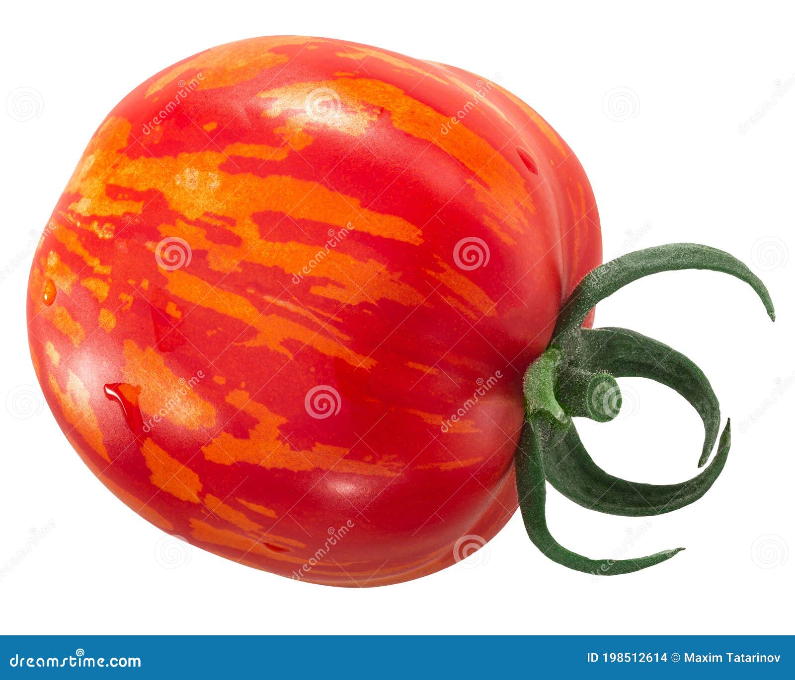 Tomate Heirloom De Cepa Rayada Fruta Entera Aislada Foto de archivo ...