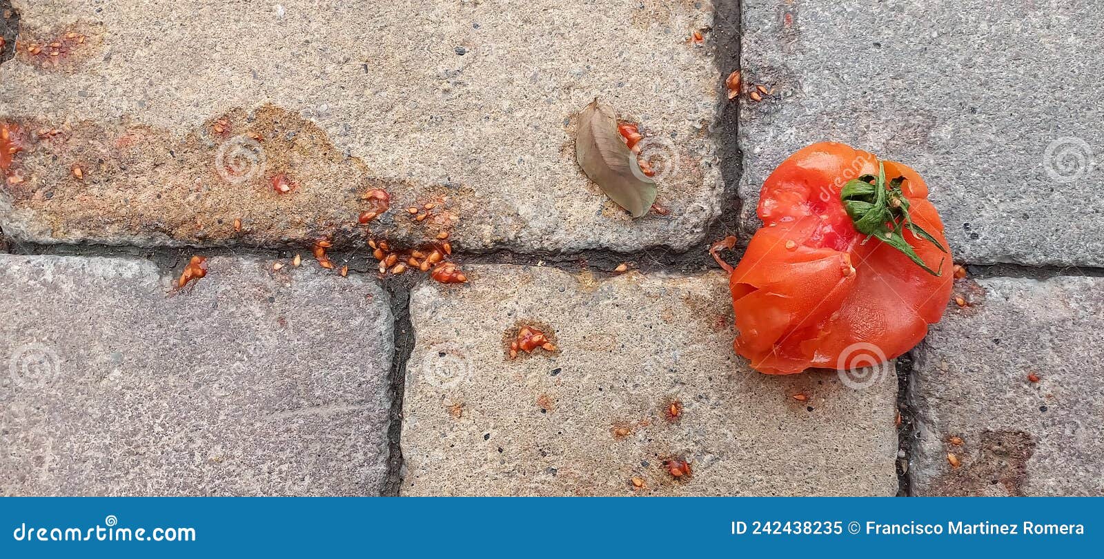 Tomate Machacado. Tomate Rojo Aplastado. Tomate Salpicado En El Suelo ...