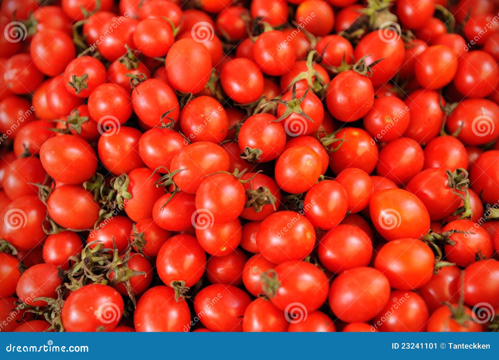 Tomate pequeno imagem de stock. Imagem de fresco, gotejamento - 23241101