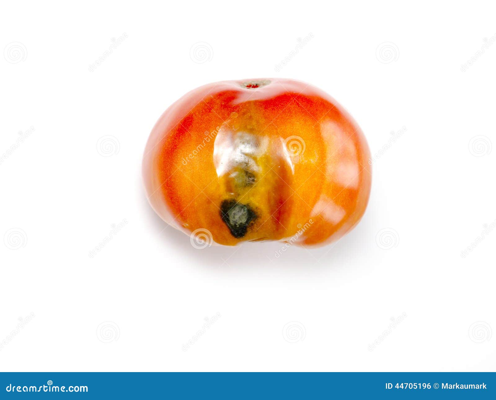 Tomate (podre) foto de stock. Imagem de podre, ingrediente - 44705196