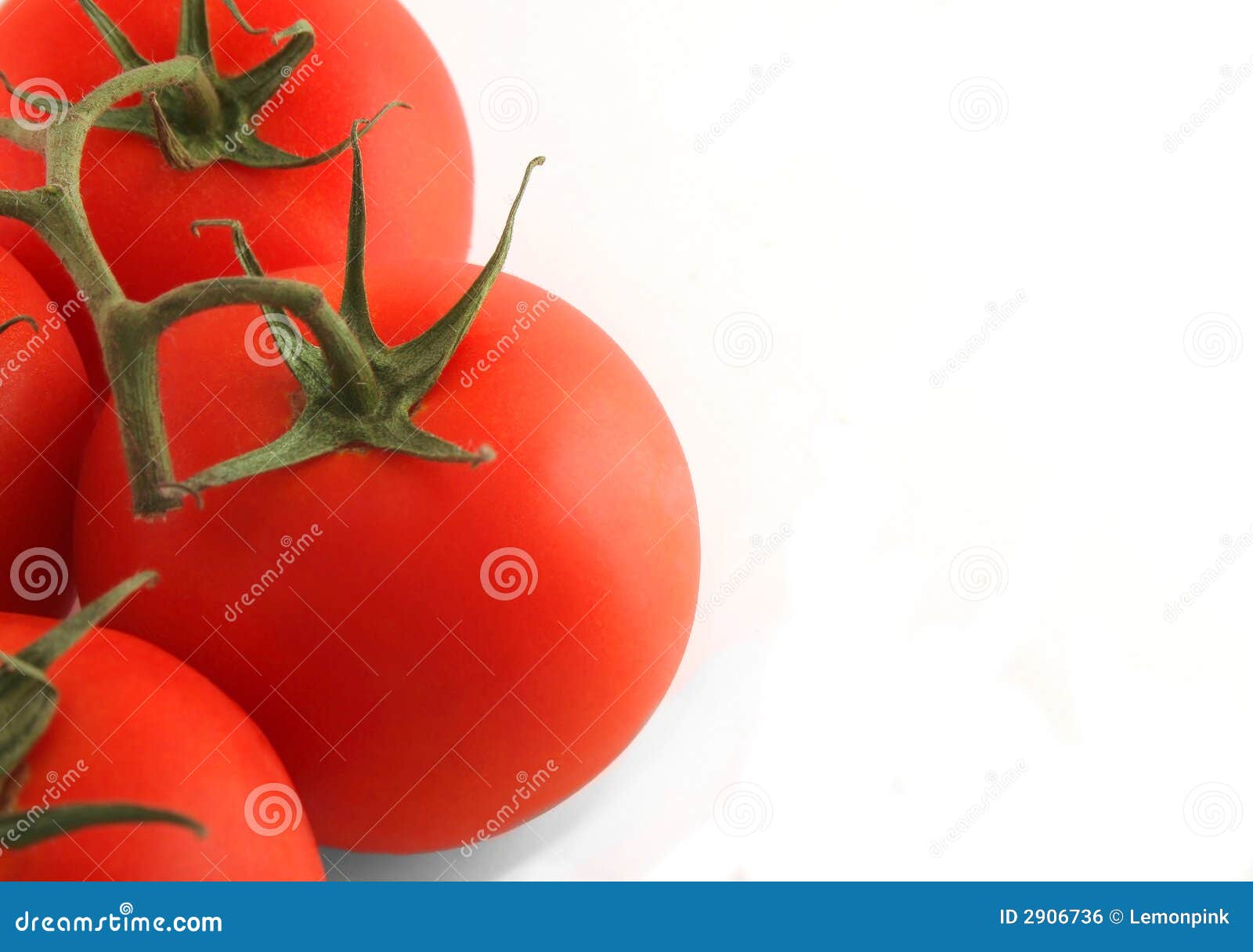 Tomate rojo foto de archivo. Imagen de dieta, salud, frontera - 2906736